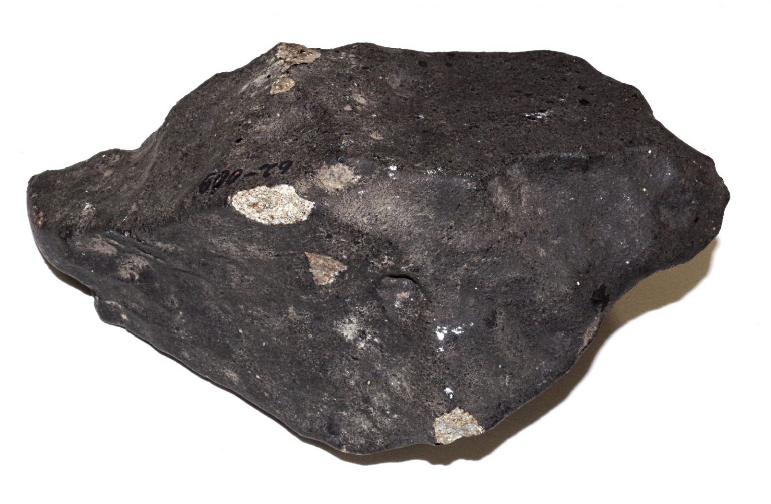 Collection of Meteorites - Nature Research Centre