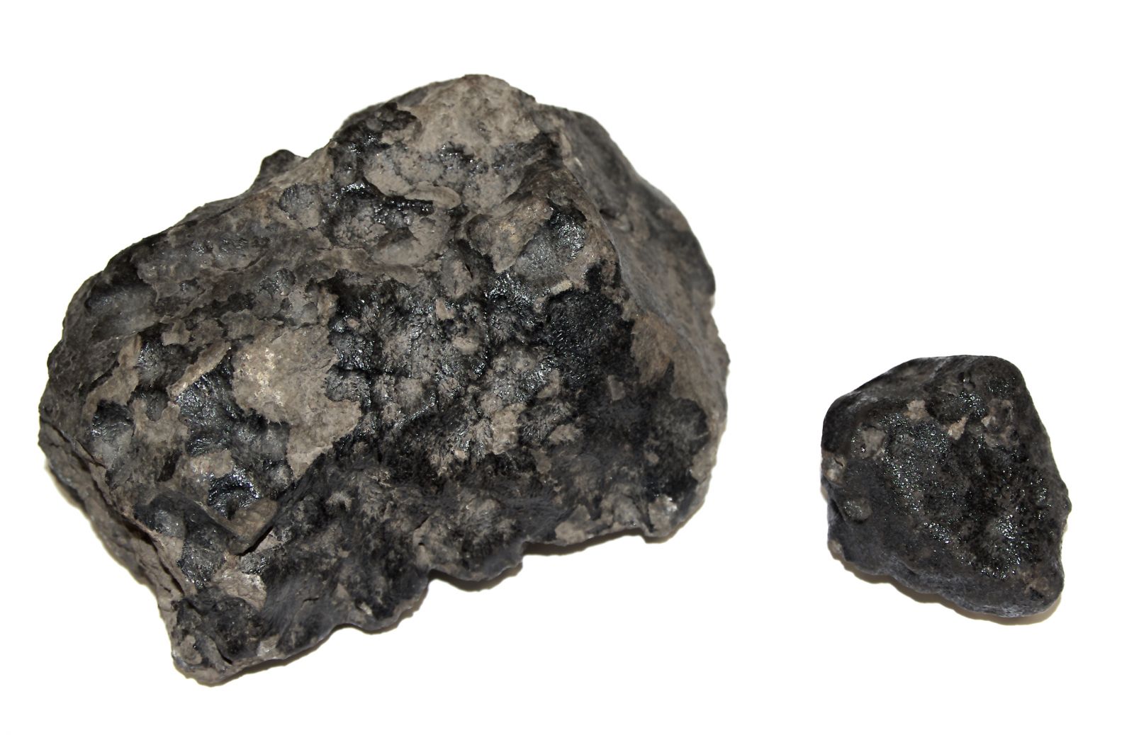 Collection of Meteorites - Nature Research Centre