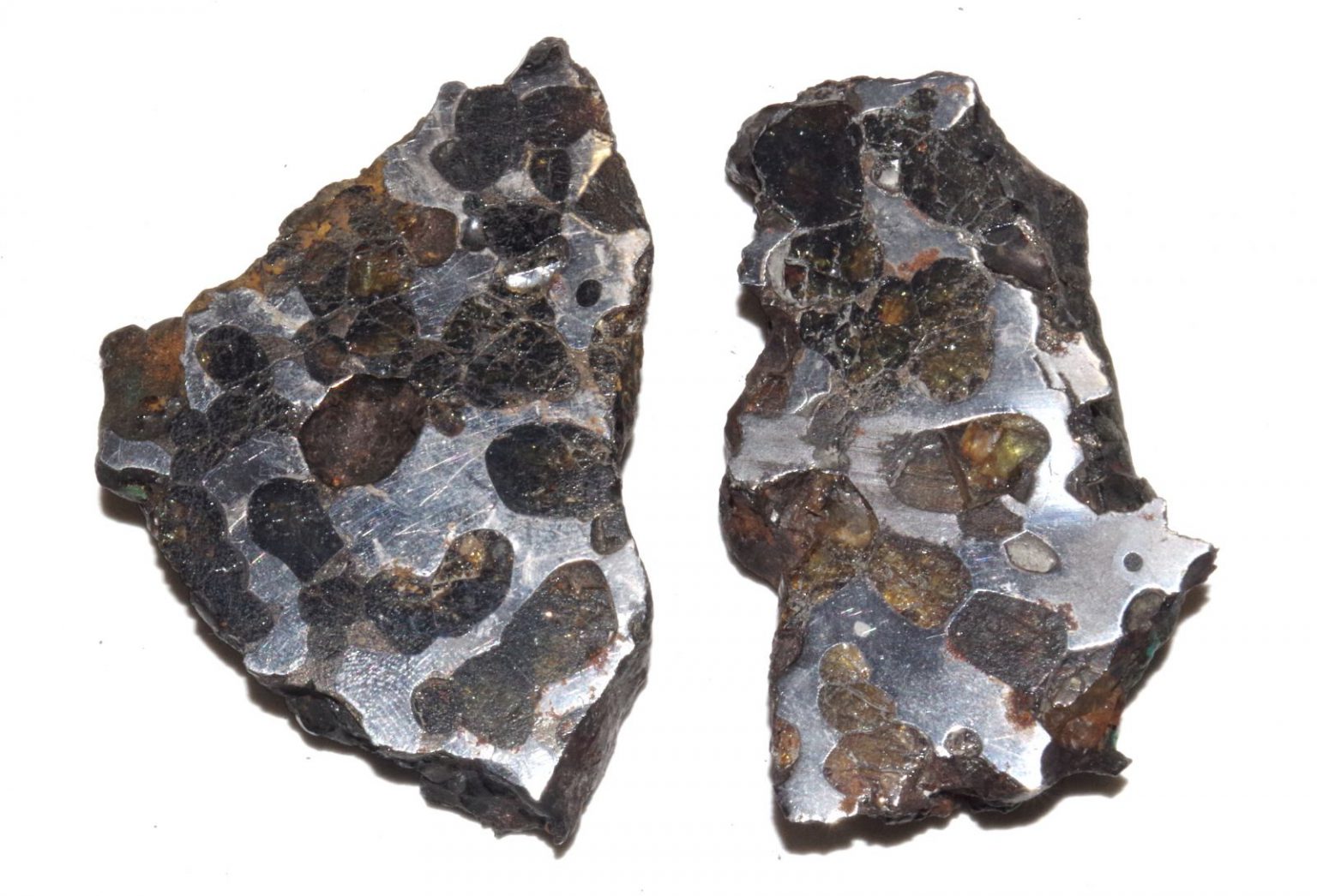 Collection of Meteorites - Nature Research Centre