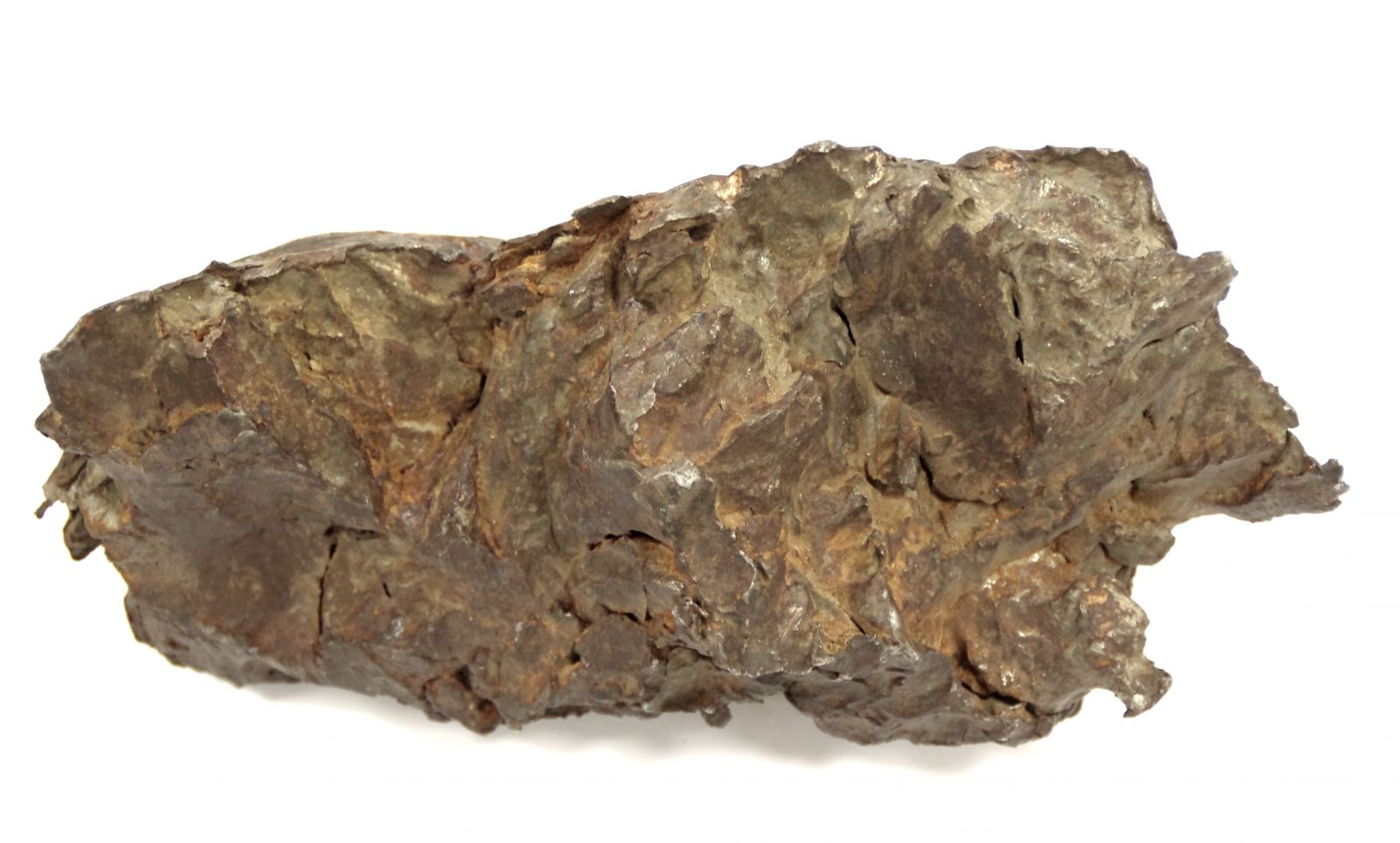 Collection of Meteorites - Nature Research Centre
