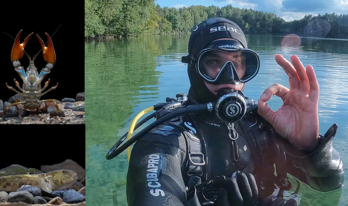 Lietuvos ežeruose ir upėse nardantis dr. Justas Dainys parodė, ką ten ...